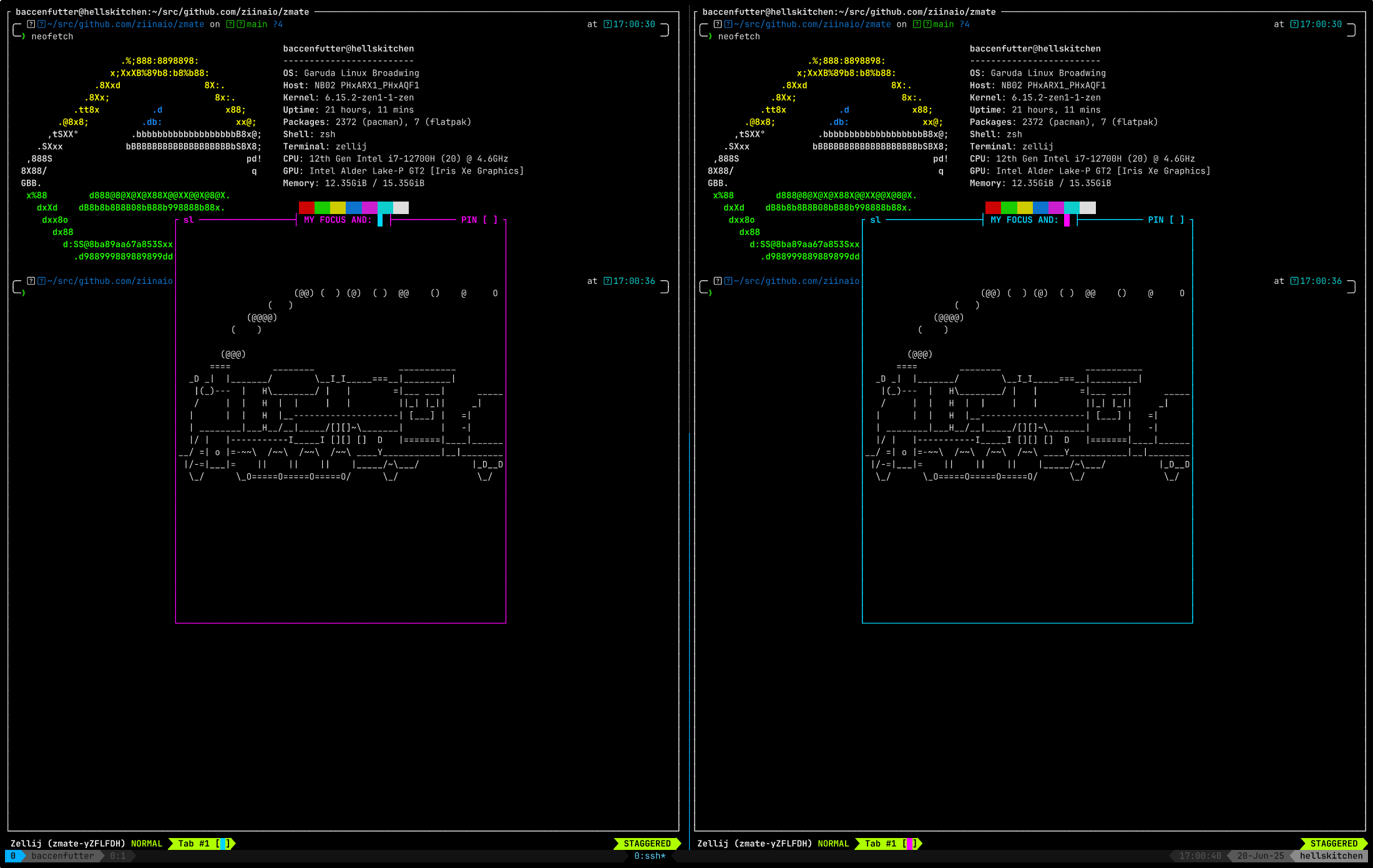 zmate - Instant terminal sharing using Zellij. - Terminal Trove